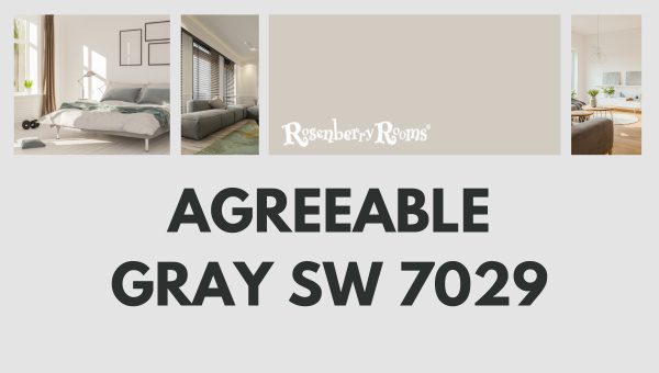 Agreeable Gray Sw 7029 [The Most In-demand Greige-taupe]