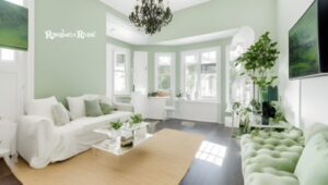Sherwin Williams Sea Salt SW 6204 2026 [Paint Color Review]