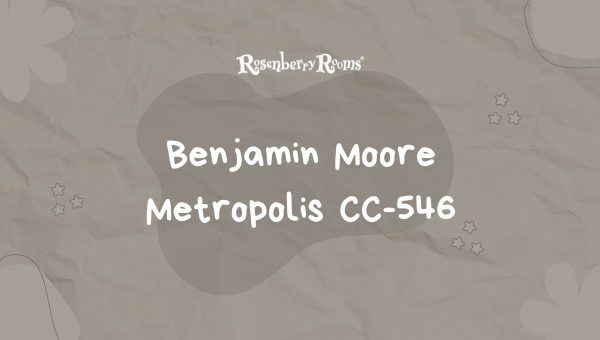 Benjamin Moore Metropolis CC-546 [Paint Color Review 2025]