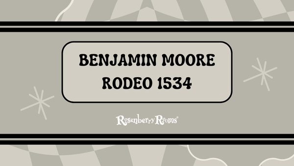 Benjamin Moore Rodeo 1534 [Paint Color Review 2025]