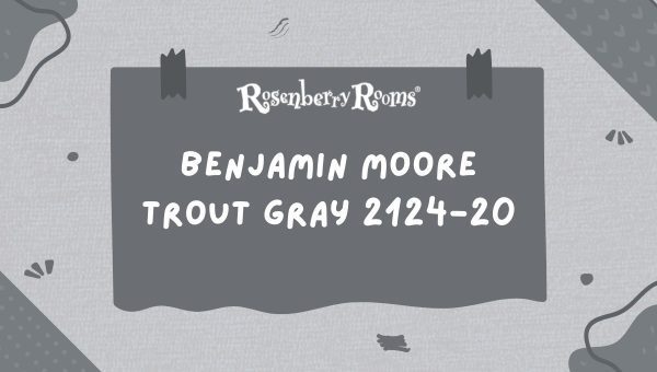 Benjamin Moore Trout Gray 2124-20 [Paint Color Review 2025]