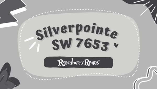 Silverpointe SW 7653 [2025 Sherwin Williams Paint Color Review]
