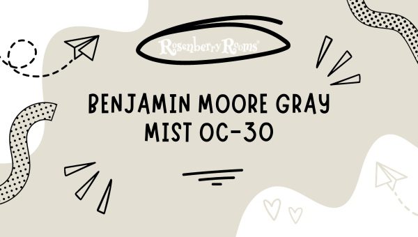 Benjamin Moore Gray Mist OC-30 [Paint Color Review 2025]