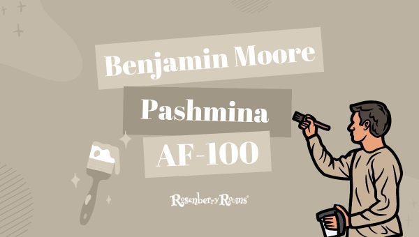 Benjamin Moore Pashmina AF-100 [Paint Color Review 2026]