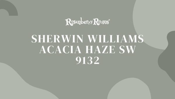 Sherwin Williams Acacia Haze SW 9132 [Color Review 2025]
