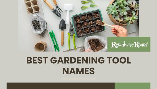 60 Best Gardening Tools Names [Essential Equipment For 2025]