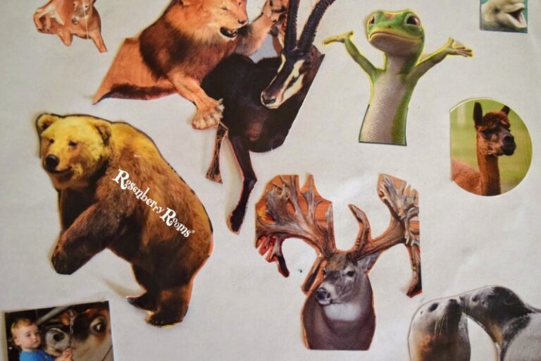 20 Creative Animal Art Projects for Kids [A Fun Project]