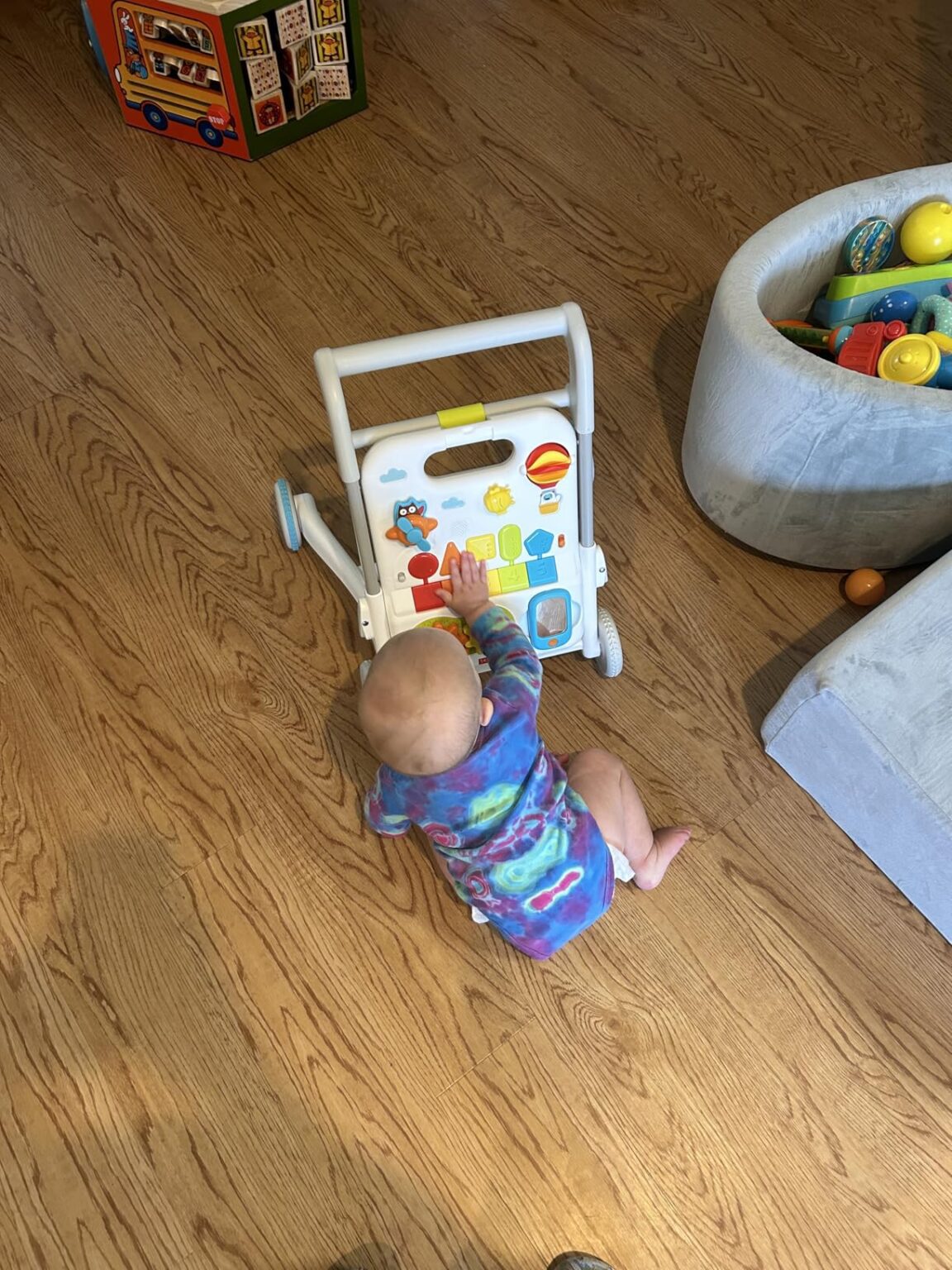 12 Best Baby Push Walkers (December 2025) Tested for Safety & Development