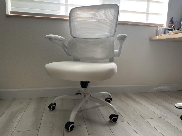 12 Best Office Chairs for Lower Back Pain (March 2026)