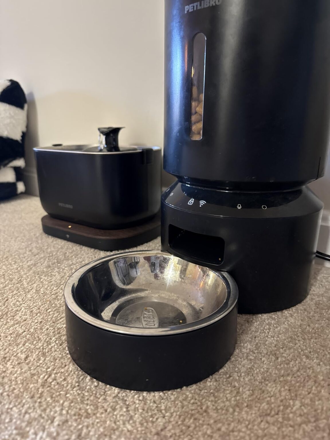 10 Best Smart Pet Feeders (June 2026) Buying Guide