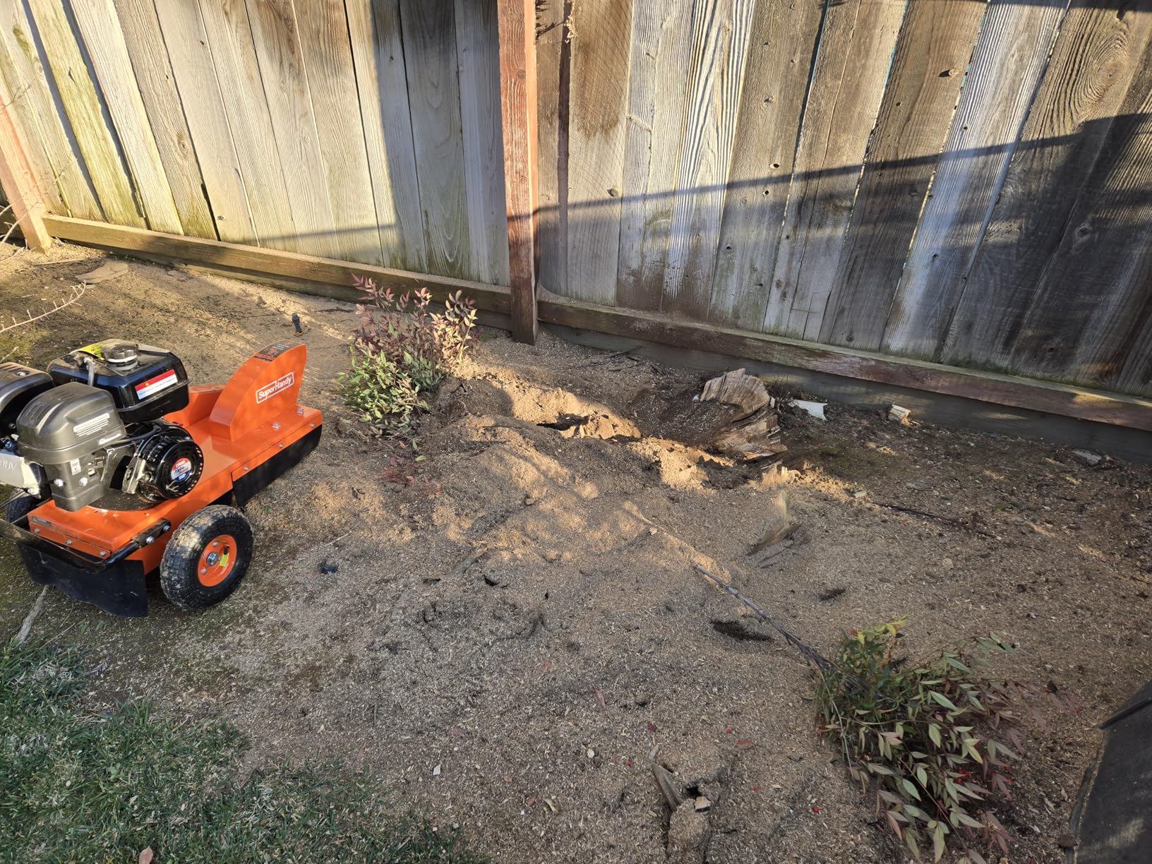 8 Best Professional Stump Grinder for Tree Service (June 2026) Complete ...