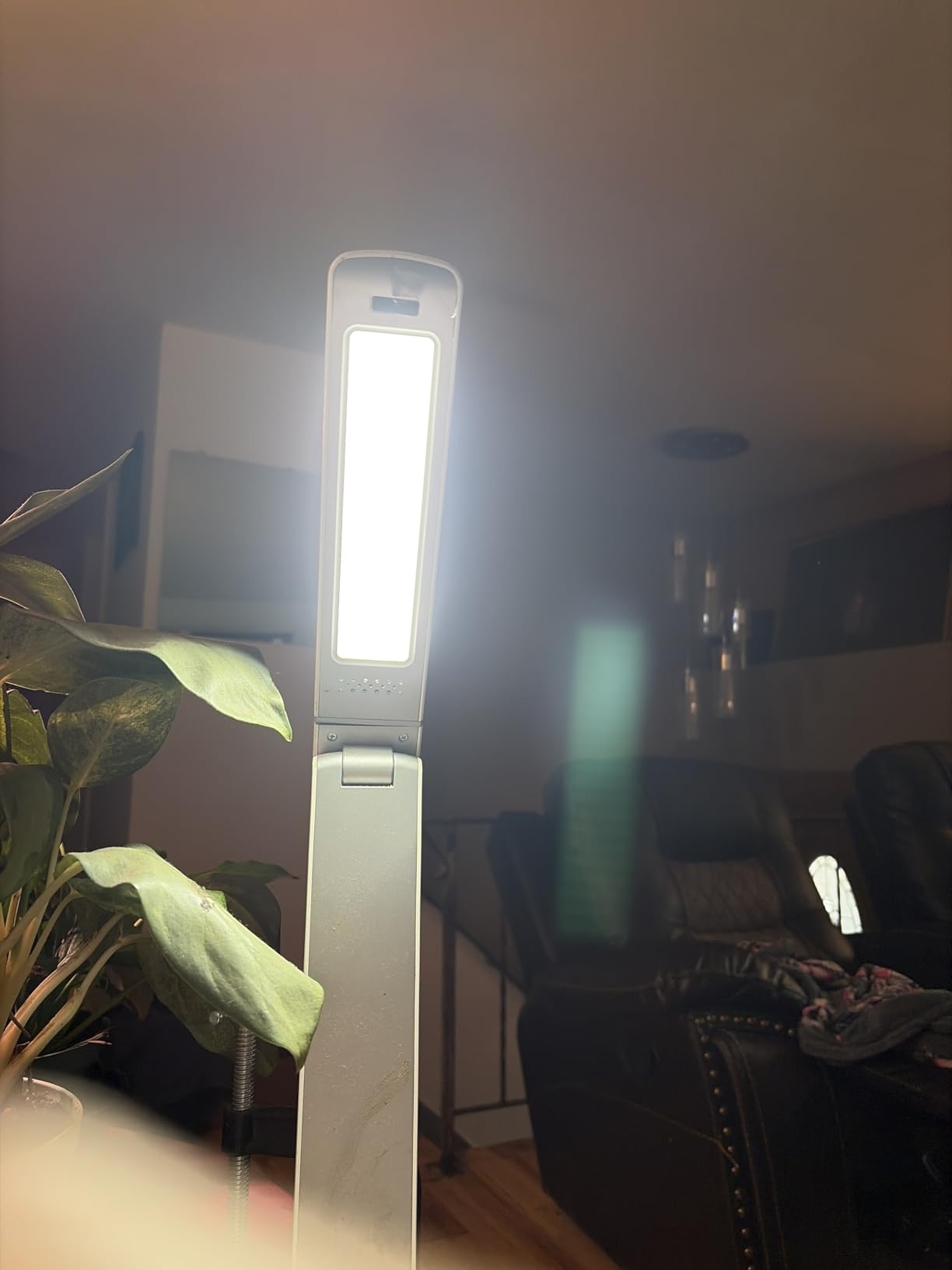 10 Best Full Spectrum Desk Lamps for Seasonal Affective Disorder (March ...