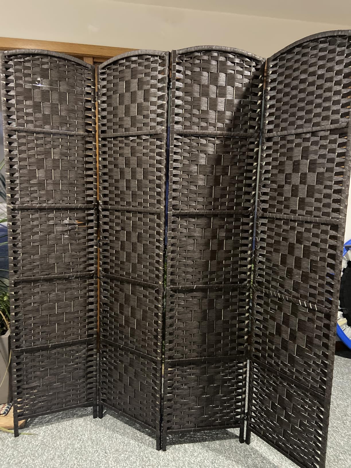 10 Best Room Dividers (June 2026) Expert Reviews