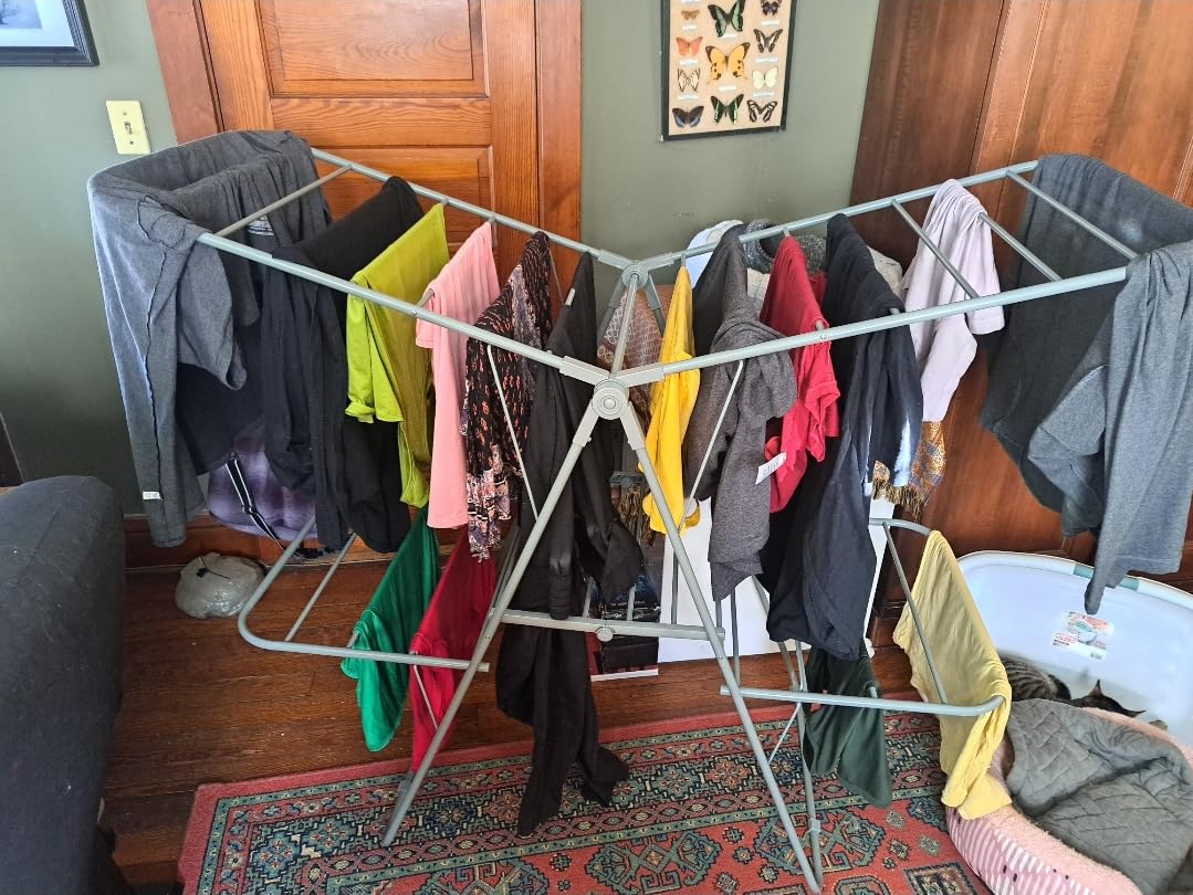 10 Best Clothes Drying Racks (June 2026) Top Picks for Every Space