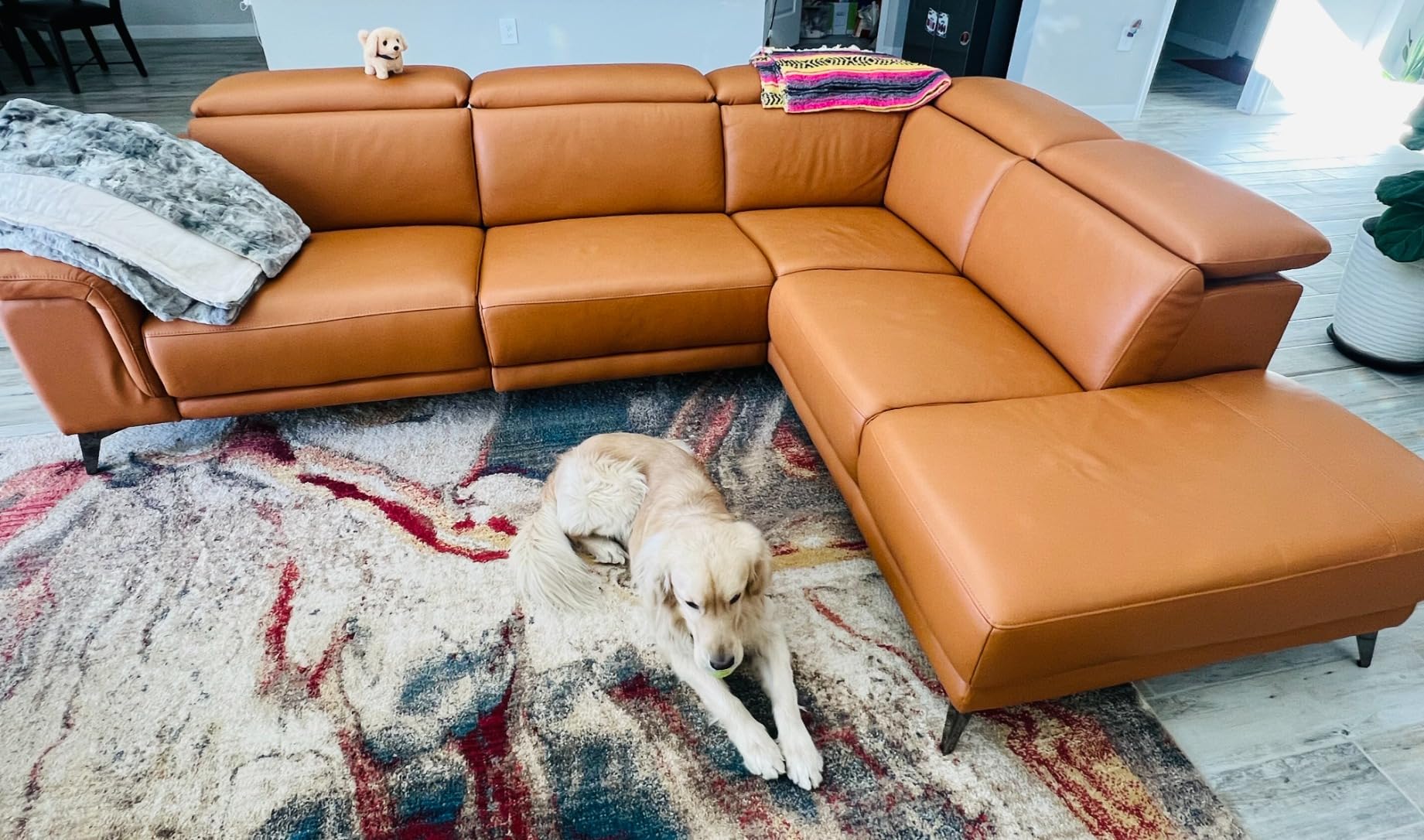 10 Best Premium Genuine Leather Sectional Sofas (June 2026) Expert Reviews