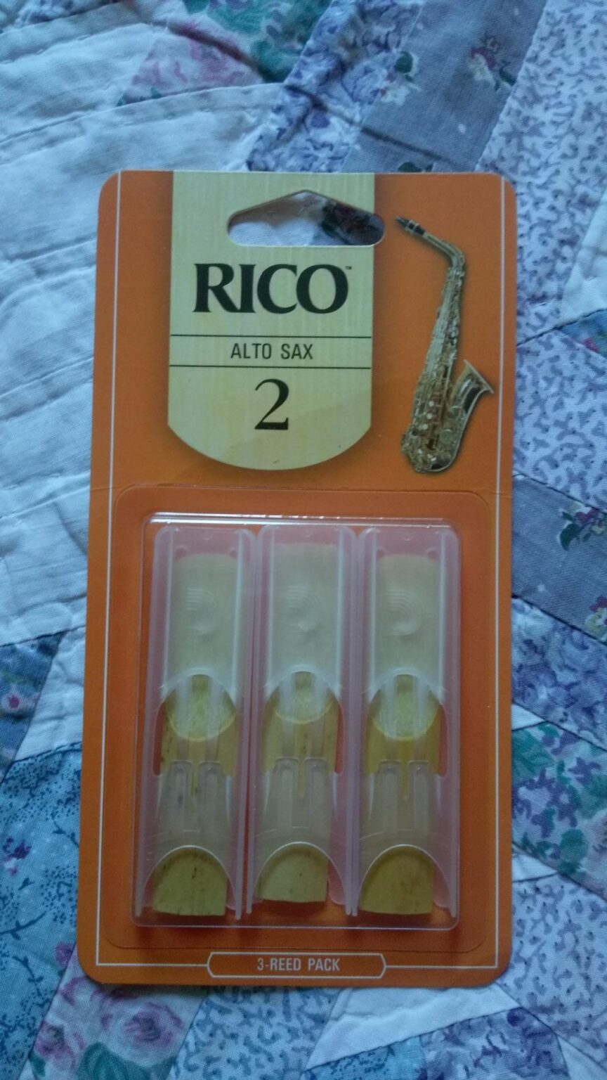 15 Best Saxophone Reeds (June 2026) for Advancing Students