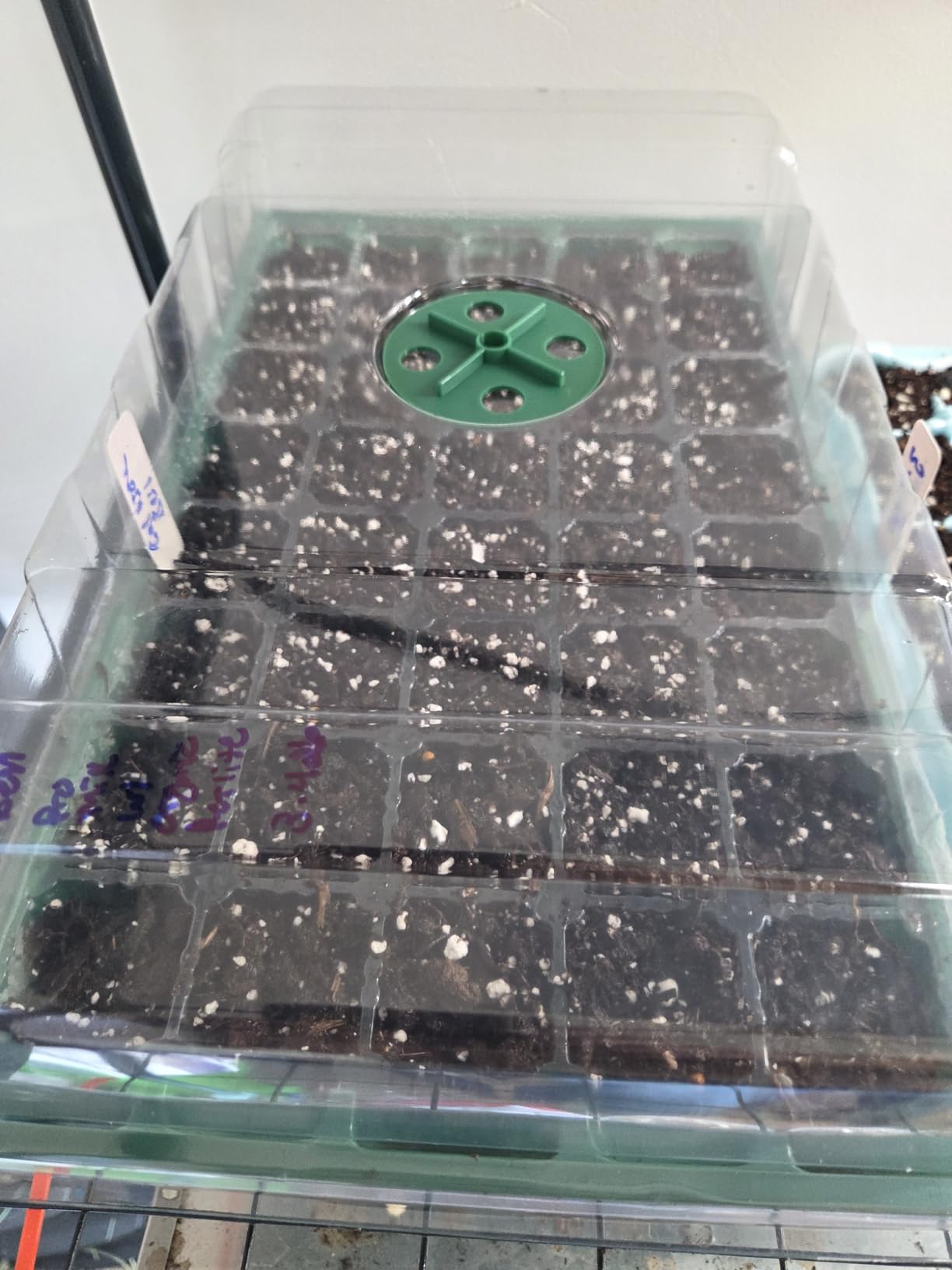 13 Best Succulent Propagation Kits (June 2026) Honest Reviews